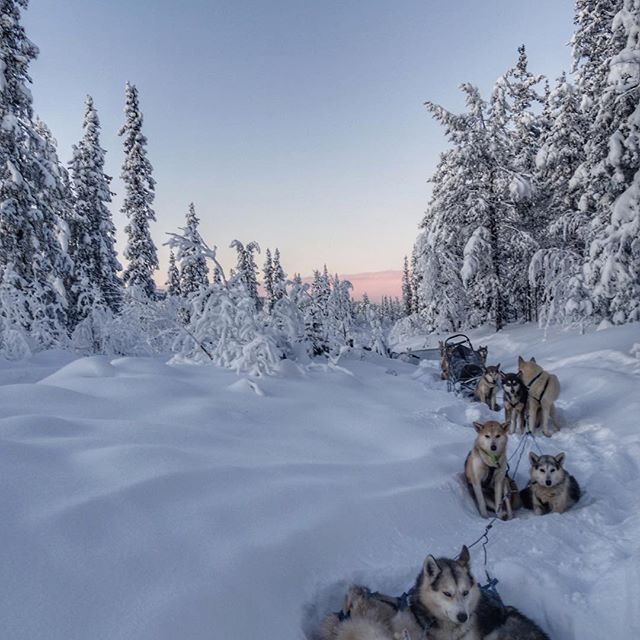 12677706_1562142927430120_1380678647_n - Twin Perspectives