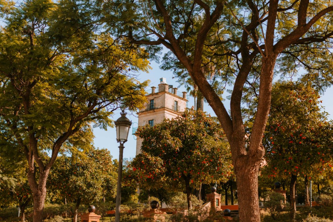 7 Best Things to do in Jerez de la Frontera