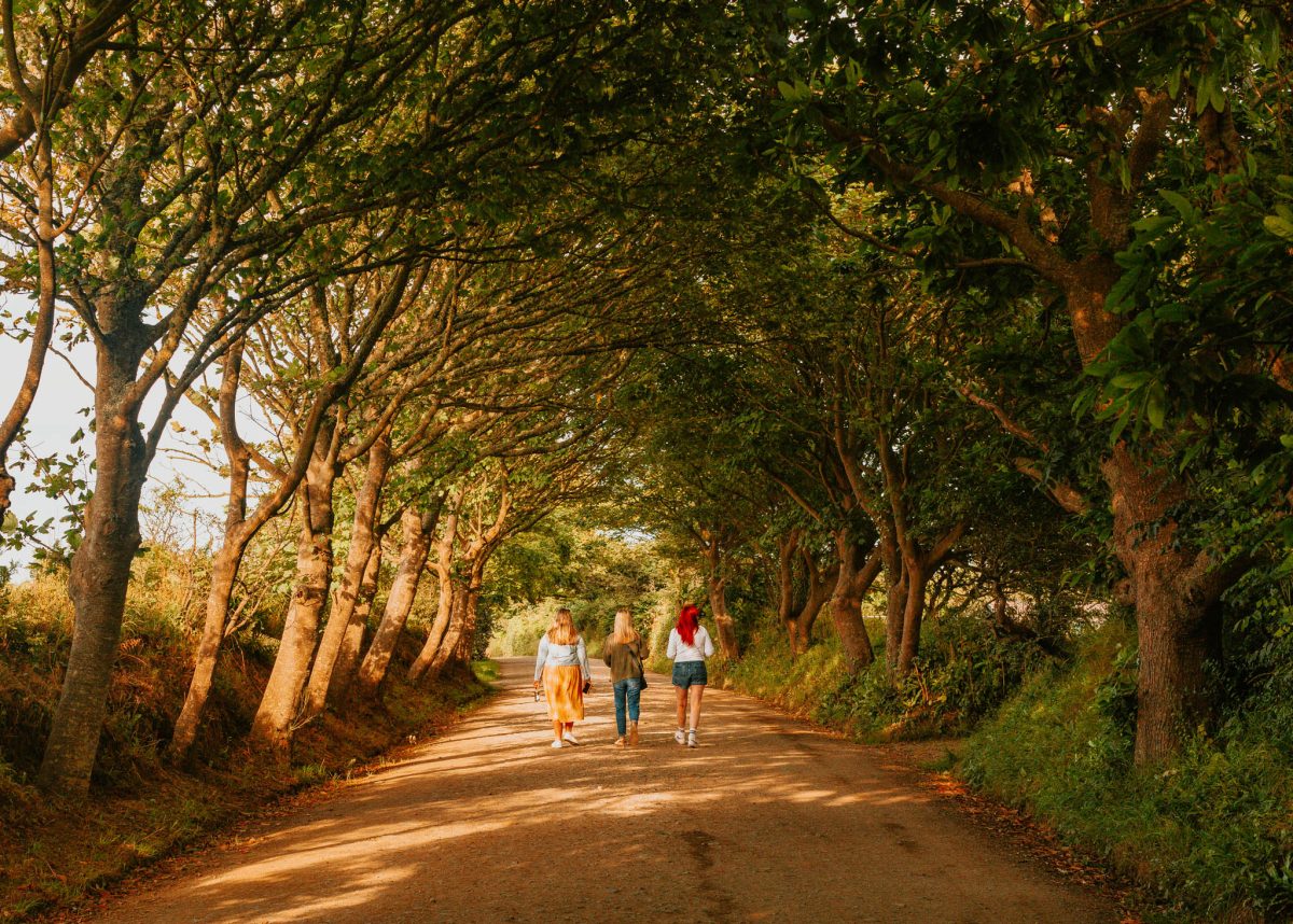 Everything you Need to Know About Visiting Sark (2024) - Twin Perspectives