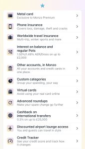 Honest Monzo Premium Review (2024) - Twin Perspectives