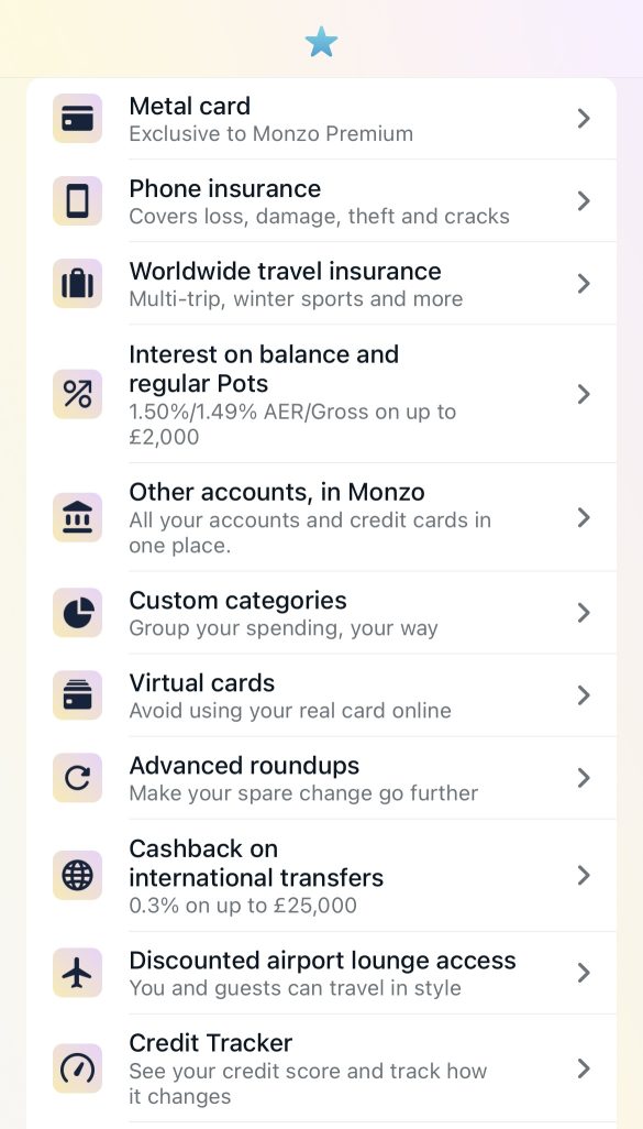 Honest Monzo Premium Review (2024) - Twin Perspectives