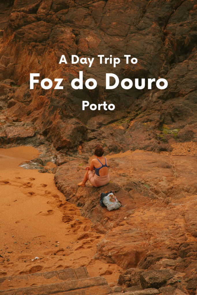 Day Trip from Porto to Foz do Douro - Twin Perspectives