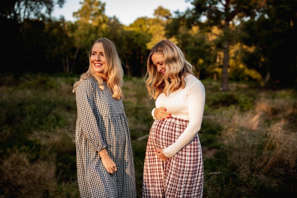 Ten Truths About the First Trimester of Pregnancy - Twin Perspectives