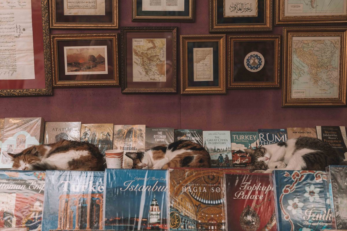 untitled-40 - Twin Perspectives